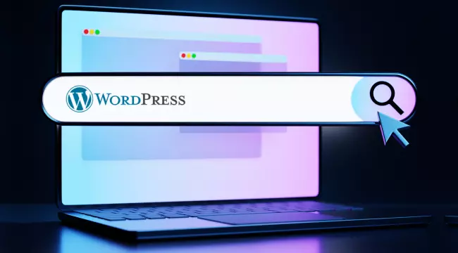 Best WordPress Search Plugins for Fast and Accurate Results